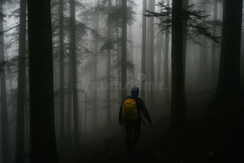 Hiker Wandering in a Dark Mysterious Forest - Great for a Wallpaper ...