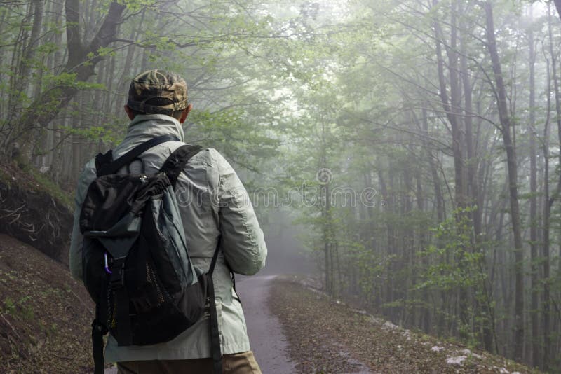 Hiker in the woods stock image. Image of mist, hiking - 182418673