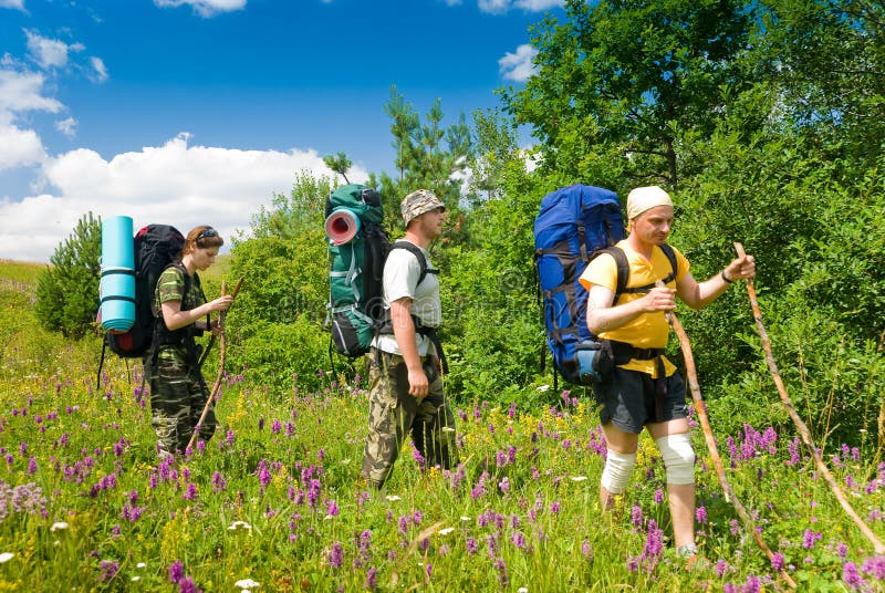 Hikers stock photo. Image of adventure, journey, park - 7402588