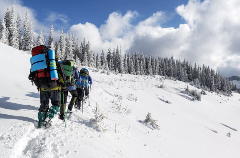 Hikers with Backpacks in the Winter Mountains Stock Image - Image of ...