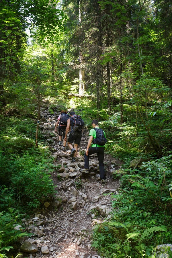 Hikers Family Going Uphill on a Trail Stock Image - Image of tourism ...