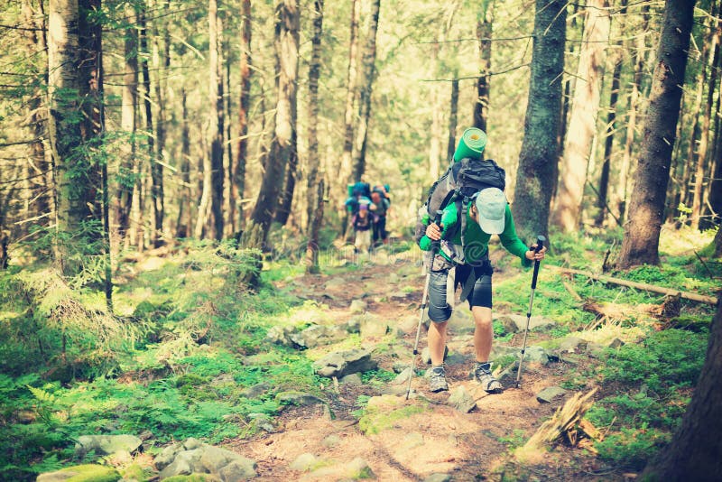Hikers Go Up the Mountain Trail Stock Image - Image of backpack ...