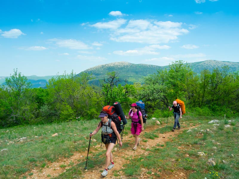 Hikers group walking stock photo. Image of summer, adult - 27716100