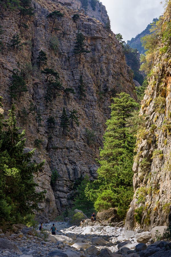Hikers in a Huge Natural Gorge with Towering Cliffs and Pine Trees ...