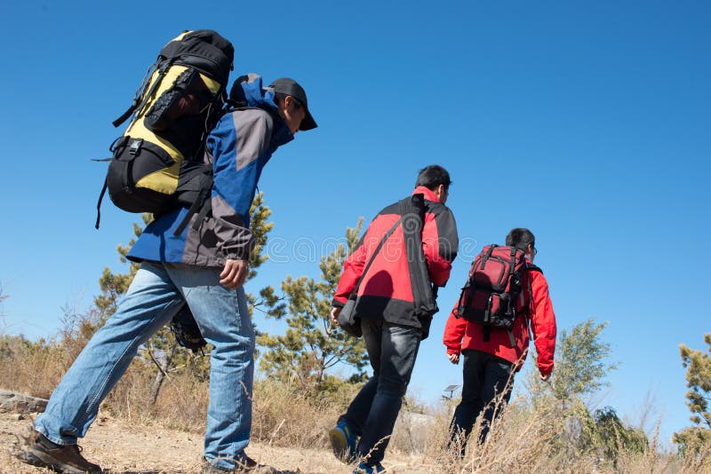 Hikers stock image. Image of autumn, nature, people, healthy - 35008357