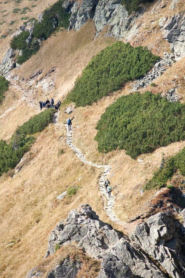 Hikers on a Switchback Mountain Trail - Zakopane Tatra Mountains Stock ...