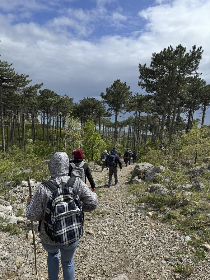 Hikers Travelers Climbing a Mountain through the Forest Stock Image ...
