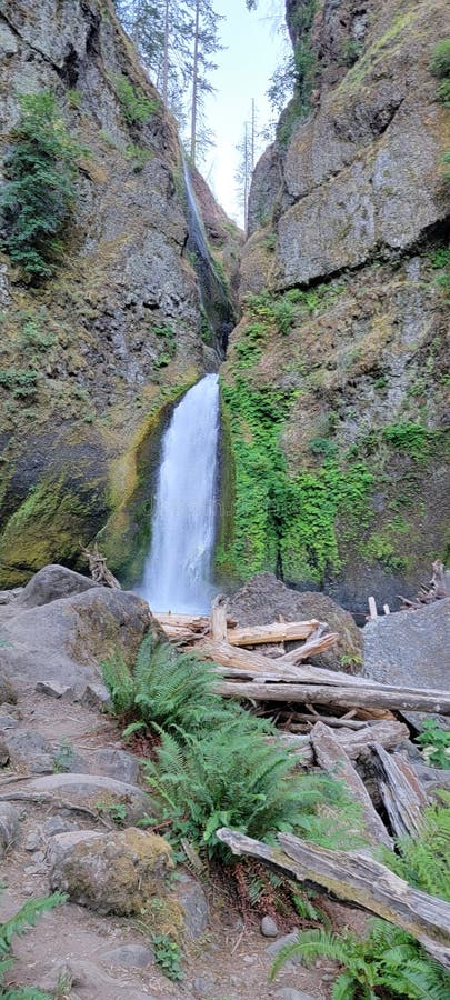 Hiking Adventures and Views Oregon, Cascade Locks, Columbia River Gorge ...