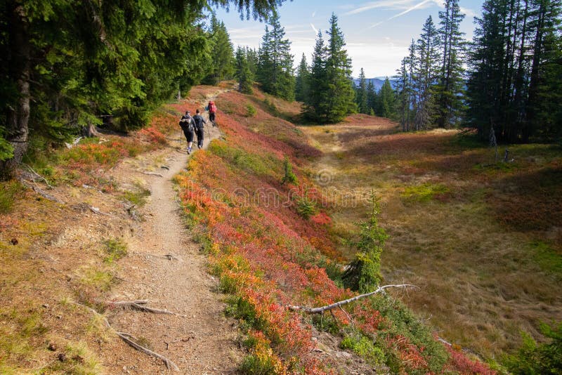 Hiking in the Austrian Mountains with Red and Orange Fall Colors of ...