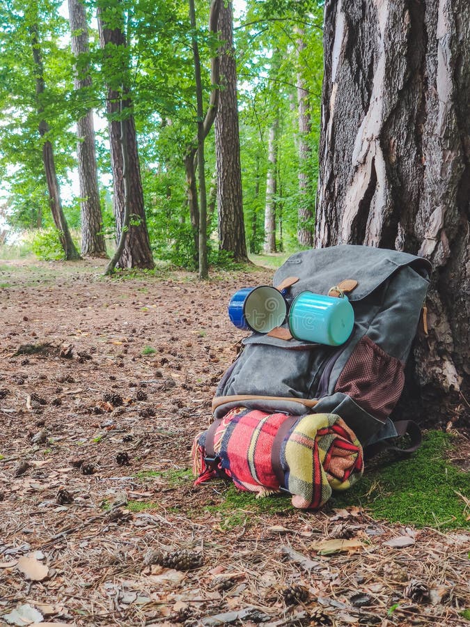 Hiking Backpack in Forest on the Ground Stock Image - Image of mountain ...