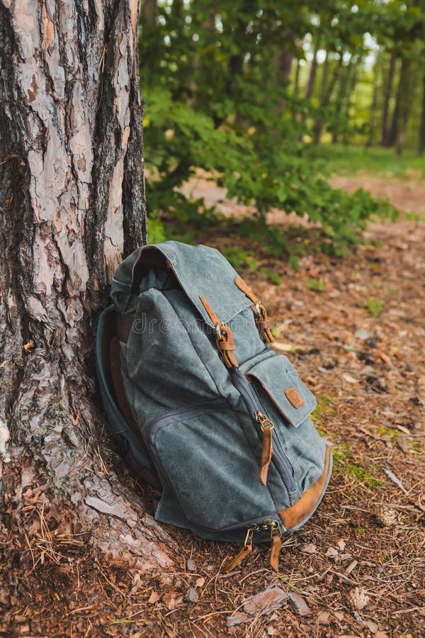Hiking Backpack Near Tree in Forest Stock Image - Image of hiking ...