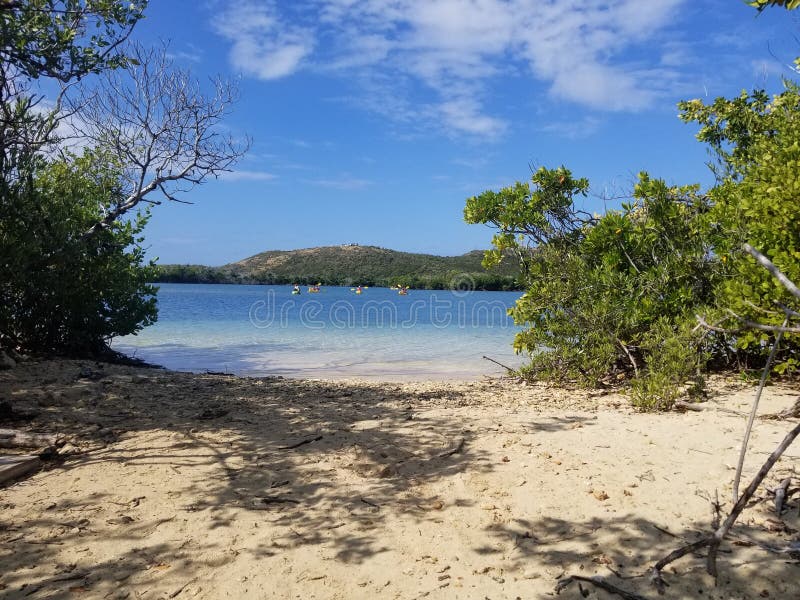 Hiking in Bahamas stock photo. Image of caribbean, beach - 13918518