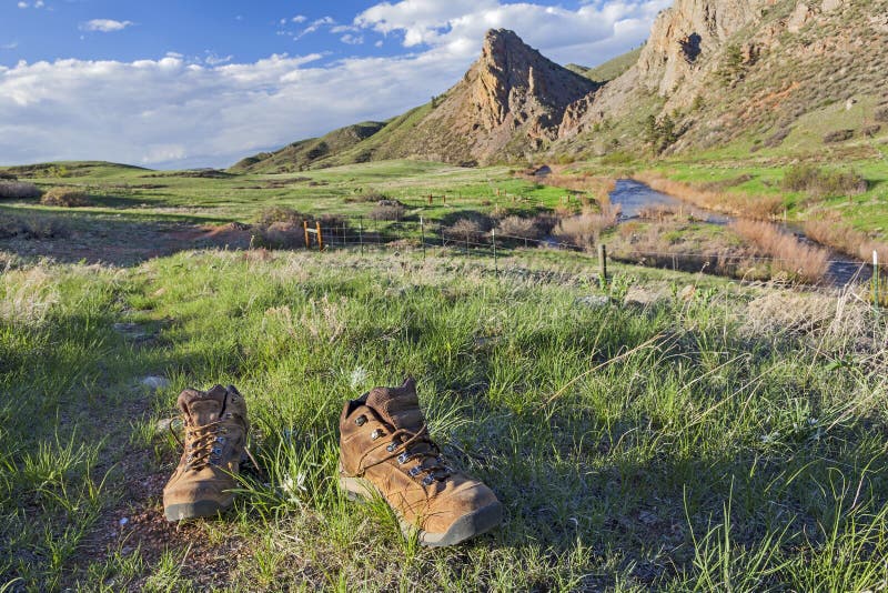 Hiking boots on trail stock photo. Image of wildflower - 31198068