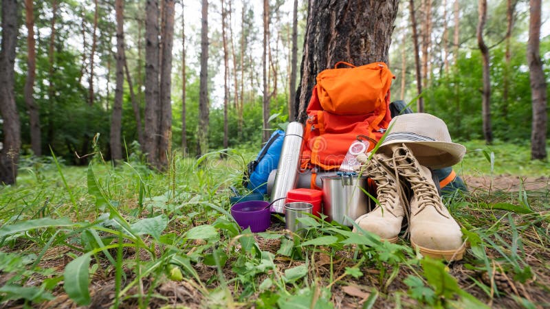 Hiking Equipment in a Pine Forest. Backpack, Thermos, Sleeping Bag ...