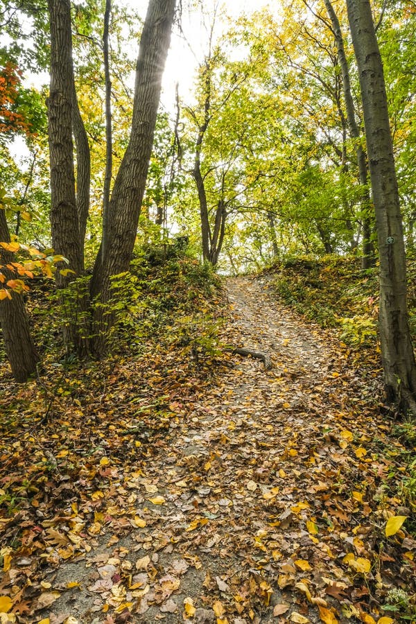 Hiking in the fall stock image. Image of colors, autumn - 200104787