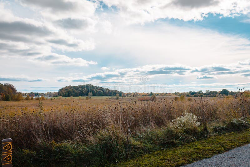 Hiking through a Field in Akron Ohio Stock Image - Image of autumn ...