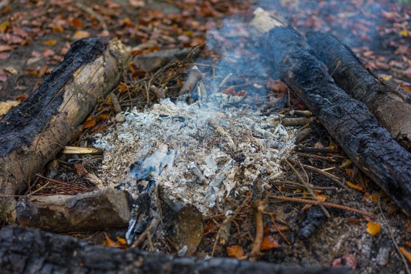 Hiking Fire Place Bbq in Forest with Small Fire and Ash Stock Image ...