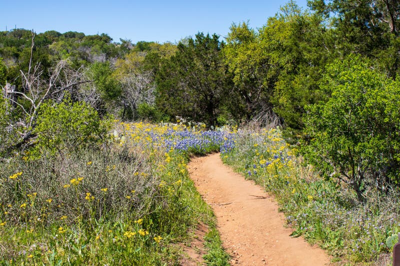 A Hiking Footpath through Bluebonnets in the Central Texas Hill Country ...