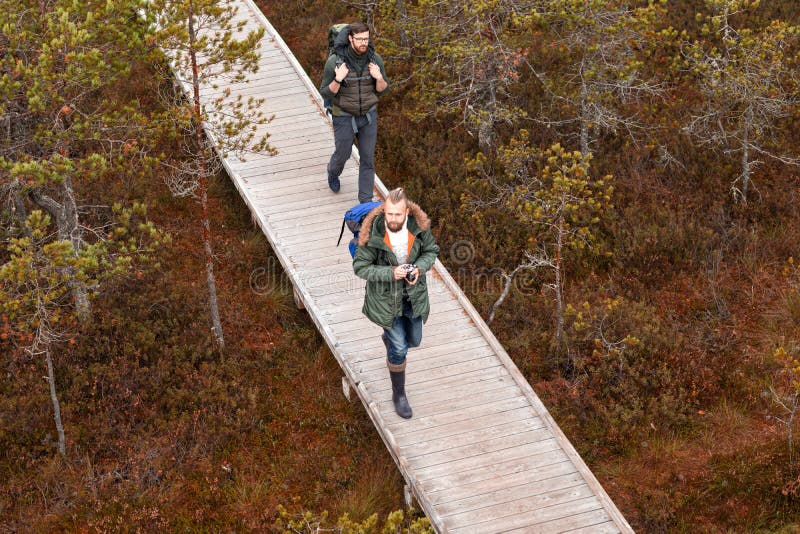 Hiking in Forest. Camp, Adventure, Traveling Concept Stock Image ...