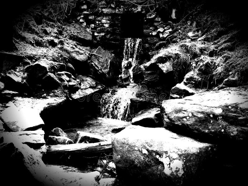 Waterfall in Cook& X27;s Forest Stock Image - Image of water, waterfall ...