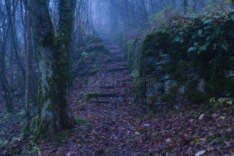 Hiking the GR5 Trail in the Benelux Stock Image - Image of schengen ...