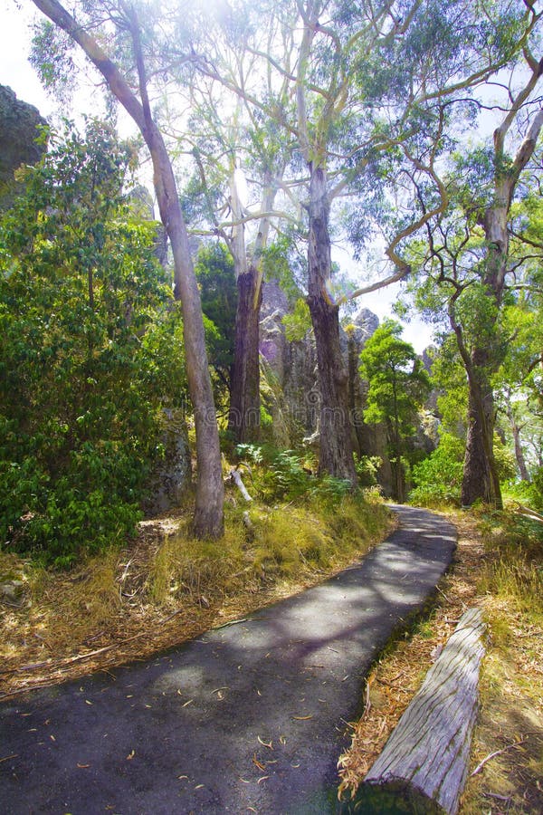 Hiking, Hanging Rock Reserve, Victoria, Australia Stock Image - Image ...