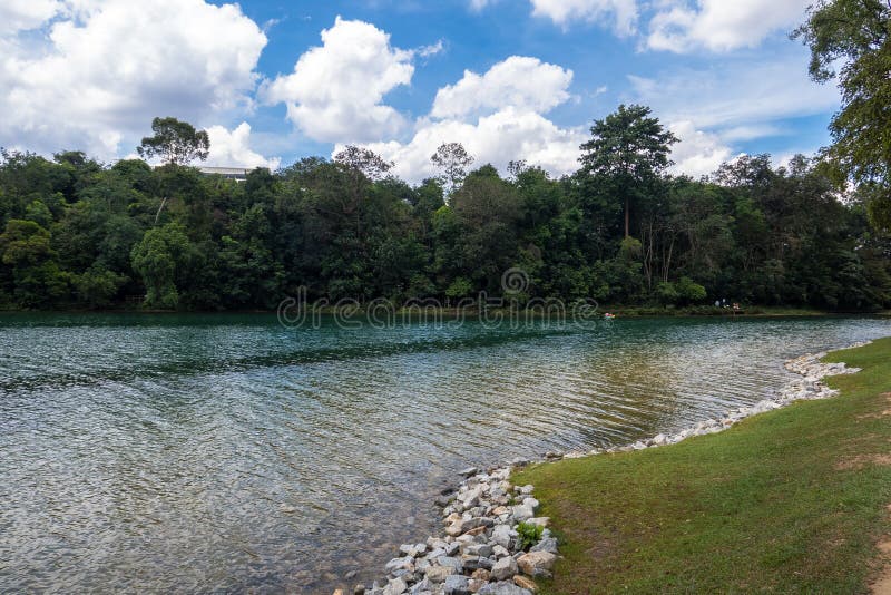 HIking at Macritchie Reservoir Stock Image - Image of grass, foliage ...