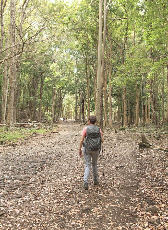Hiking in the Forest of Mauritius Island Editorial Stock Photo - Image ...