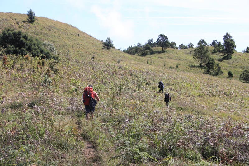 Hiking stock image. Image of prau, mount, java, island - 282222531