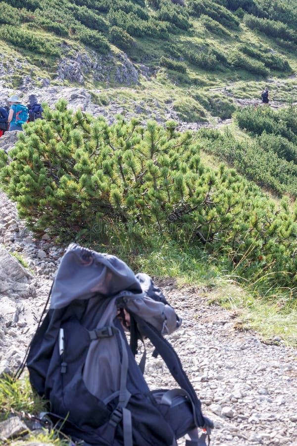 .hiking in the Mountains with a Backpack Placed on the Ground Stock ...