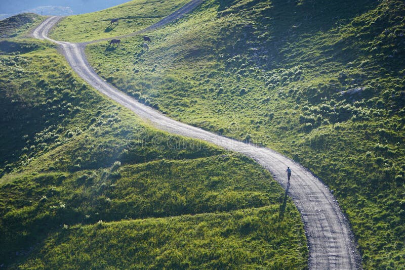 Hiking in the Mountains on a Long Path or Track Stock Photo - Image of ...