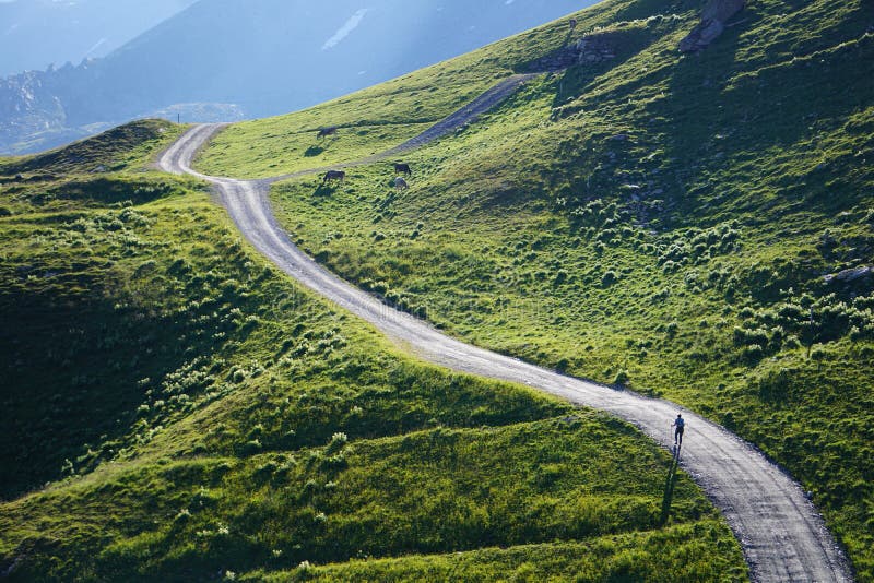 780 Very Long Path Stock Photos - Free & Royalty-Free Stock Photos from ...