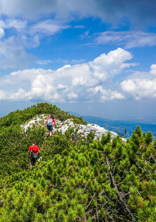 Hiking in the Mountains in the Summer Stock Photo - Image of backpacker ...