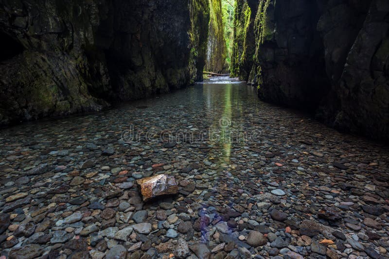 Oneonta Gorge Trail in Columbia River Gorge, Oregon. Stock Image ...