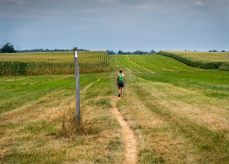 Hiking through Open Corn Field Stock Photo - Image of appalachian ...
