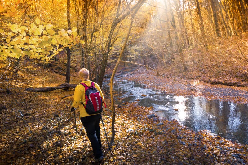 Hiking in autumn forest stock image. Image of bulgaria - 121571767