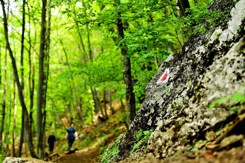 Hiking Paint Marking on a Trail Stock Photo - Image of alone, active ...