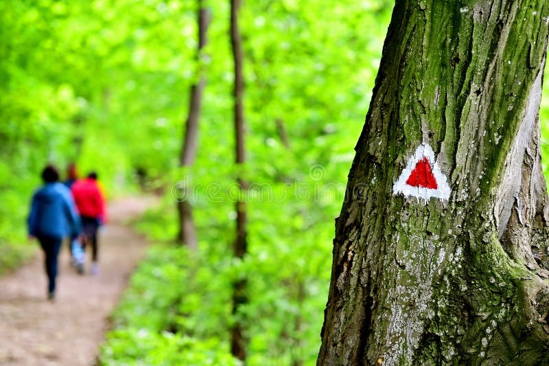 Hiking Paint Marking on a Trail Stock Photo - Image of blaze, active ...