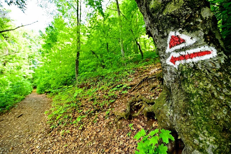 Hiking Paint Marking on a Trail Stock Image - Image of blaze, mountain ...