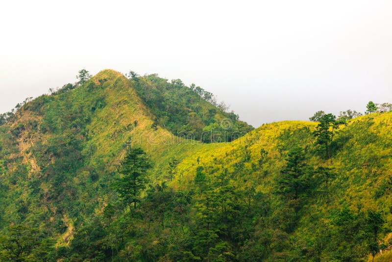 Hiking Path Along the Ridge of Mountain. Stock Photo - Image of hike ...