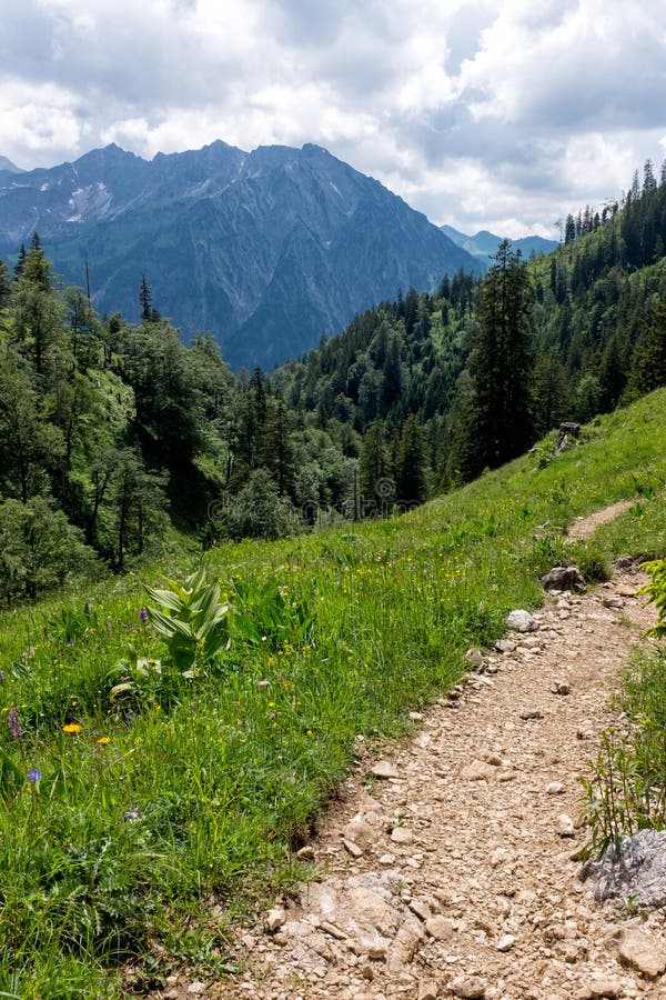 Hiking path in Alps stock photo. Image of summer, mountain - 74105660