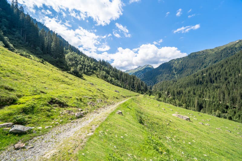Hiking path in Alps stock photo. Image of path, grass - 171771622