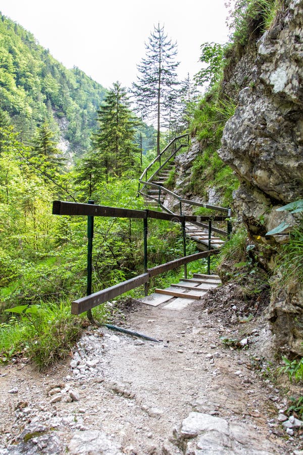 Hiking Path in the Austrian Alps Stock Image - Image of carinthia ...