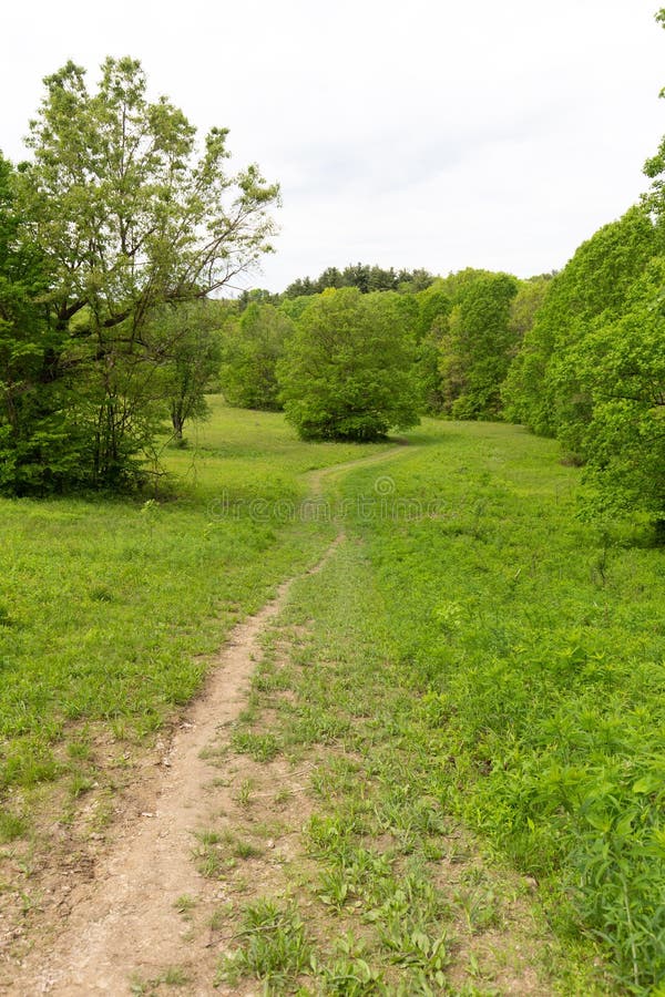 Hiking Path in Clearing To Tree Stock Image - Image of mountain ...