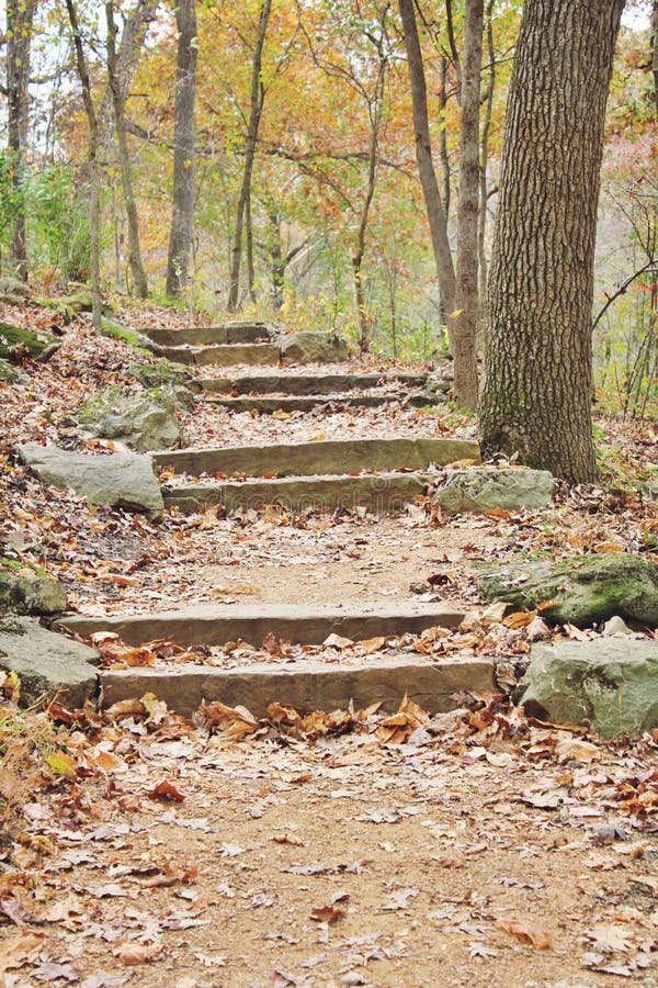 Fall path stock image. Image of trail, tree, path, brown - 101193793