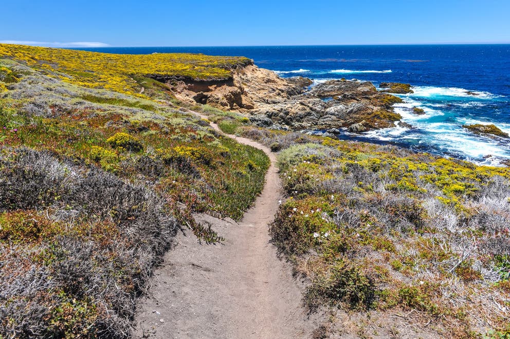Hiking Path in Garrapata State Park by Pacific Stock Photo - Image of ...