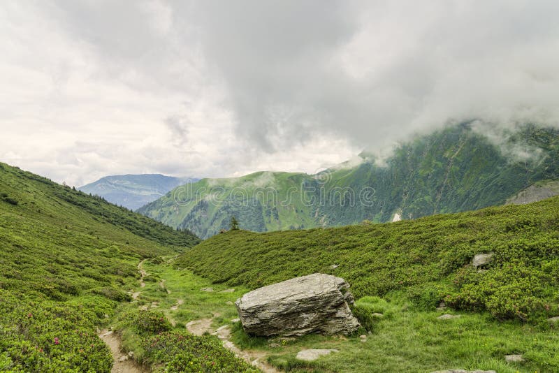 Hiking Path among Green Alpine Valley Stock Photo - Image of forest ...