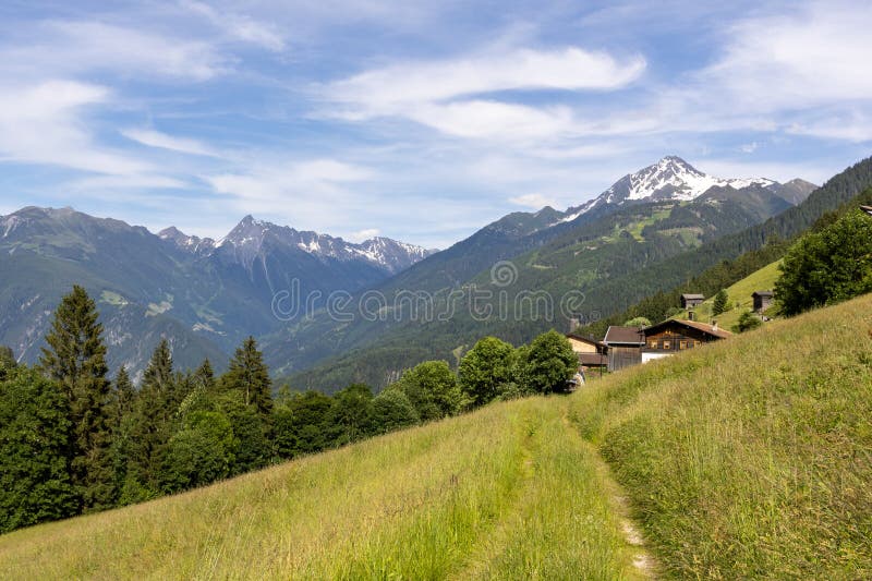 Hiking Path through a Pasture in the Alps in Spring Stock Image - Image ...