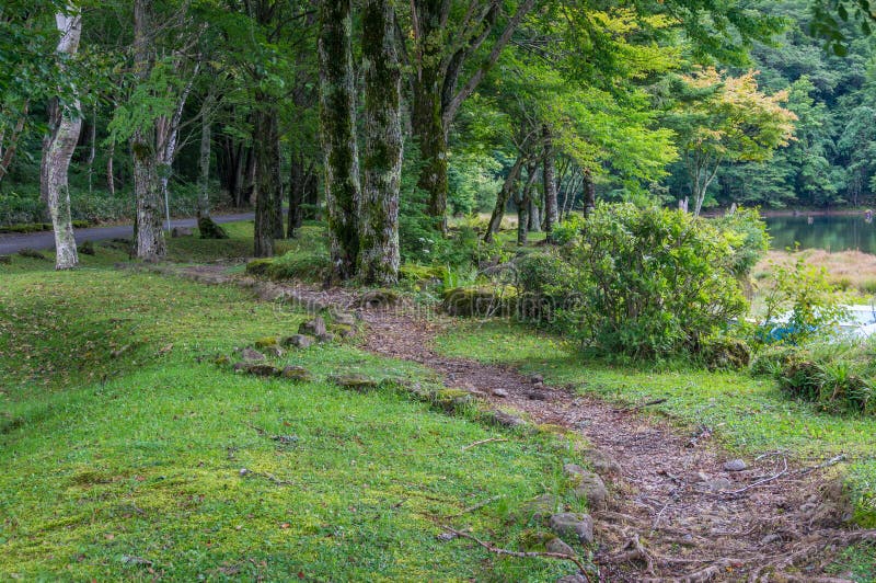 Hiking Path, Pathway in the Park with Green Trees and Grass Stock Image ...