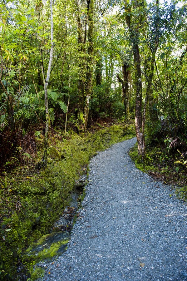 Hiking Path Picture. Image: 29829081